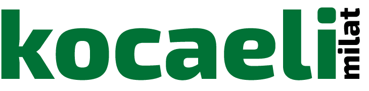 Proje Yönetiminde Özel Yazılım Geliştirme Çözümleri - Kocaeli Milat Haber